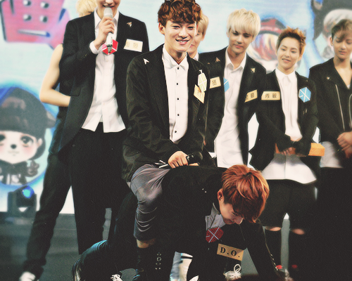 EXO 텀블러짤 털이 :: 148 - 인스티즈(instiz) 엑소 카테고리