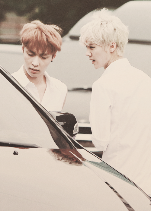 EXO 텀블러짤 털이 :: 86 - 인스티즈(instiz) 엑소 카테고리