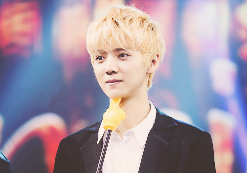 EXO 텀블러짤 털이 :: 148 - 인스티즈(instiz) 엑소 카테고리