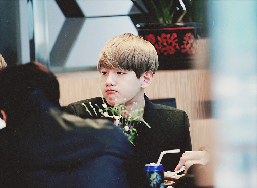 EXO 텀블러짤 털이 : 249 - 인스티즈(instiz) 엑소 카테고리