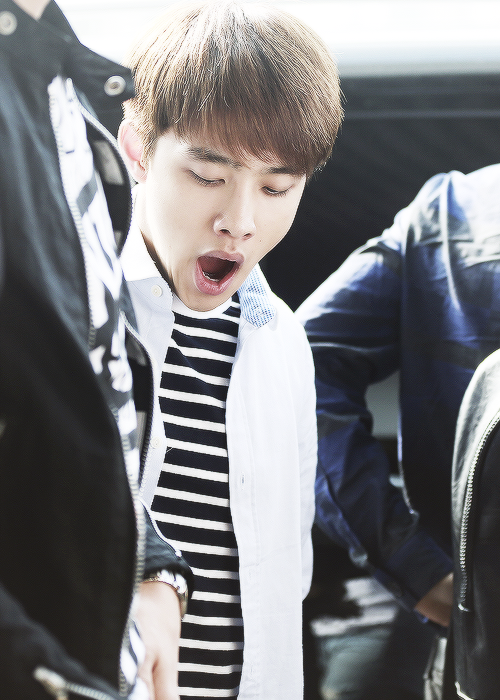 EXO 텀블러짤 털이 :: 169 - 인스티즈(instiz) 엑소 카테고리