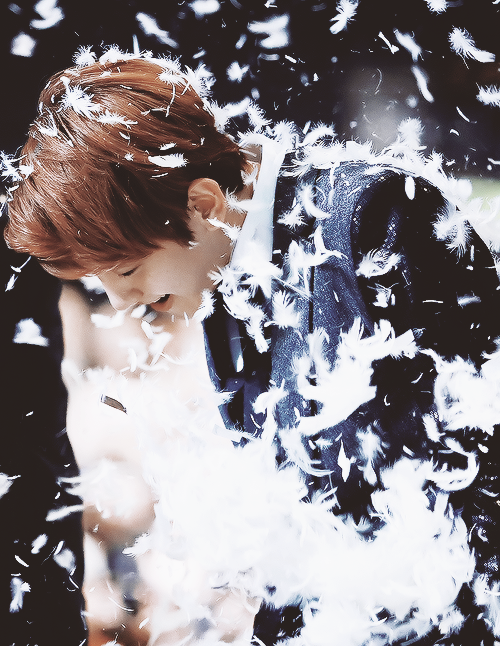 EXO 텀블러짤 털이 : 245 - 인스티즈(instiz) 엑소 카테고리