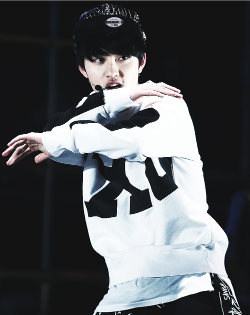 EXO 텀블러짤 털이 : 242 - 인스티즈(instiz) 엑소 카테고리