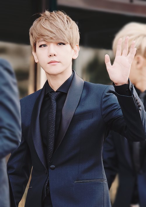 EXO 텀블러짤 털이 : 249 - 인스티즈(instiz) 엑소 카테고리