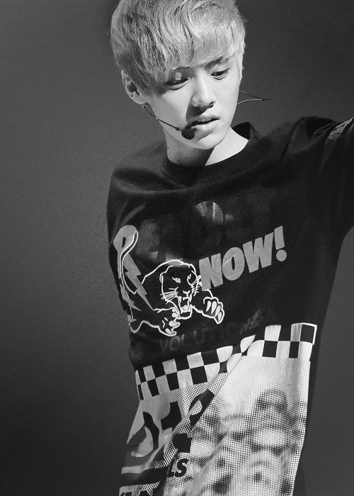 EXO 텀블러짤 털이 :: 124 - 인스티즈(instiz) 엑소 카테고리