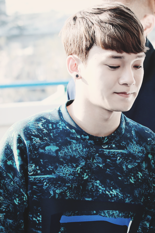 EXO 텀블러짤 털이 : 252 - 인스티즈(instiz) 엑소 카테고리