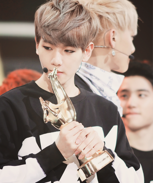 EXO 텀블러짤 털이 : 245 - 인스티즈(instiz) 엑소 카테고리