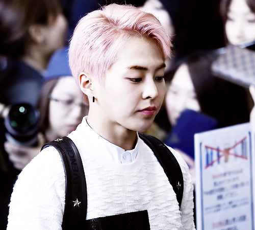 EXO 텀블러짤 털이 : 251 - 인스티즈(instiz) 엑소 카테고리