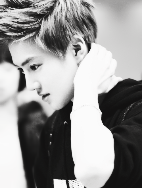 EXO 텀블러짤 털이 :: 185 - 인스티즈(instiz) 엑소 카테고리