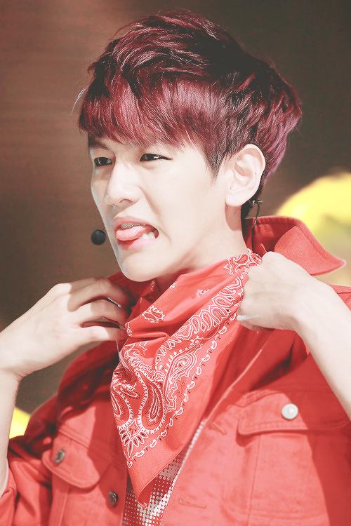 EXO 텀블러짤 털이 :: 121 - 인스티즈(instiz) 엑소 카테고리