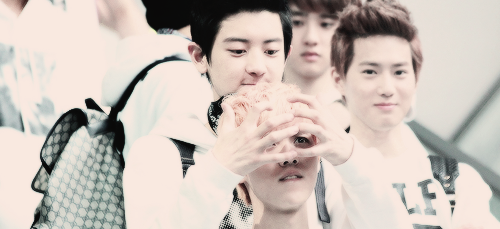 EXO 텀블러짤 털이 :: 187 - 인스티즈(instiz) 엑소 카테고리