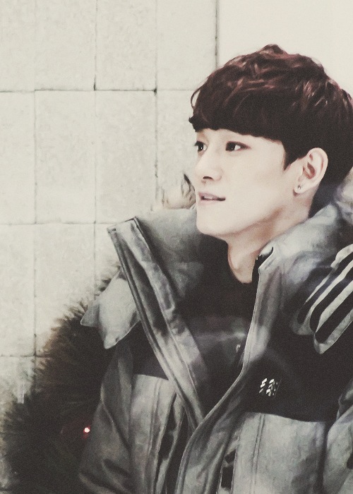 EXO 텀블러짤 털이 : 242 - 인스티즈(instiz) 엑소 카테고리