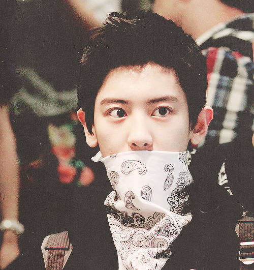 EXO 텀블러짤 털이 :: 185 - 인스티즈(instiz) 엑소 카테고리