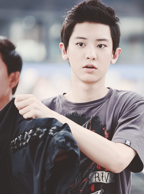 EXO 텀블러짤 털이 :: 96 - 인스티즈(instiz) 엑소 카테고리