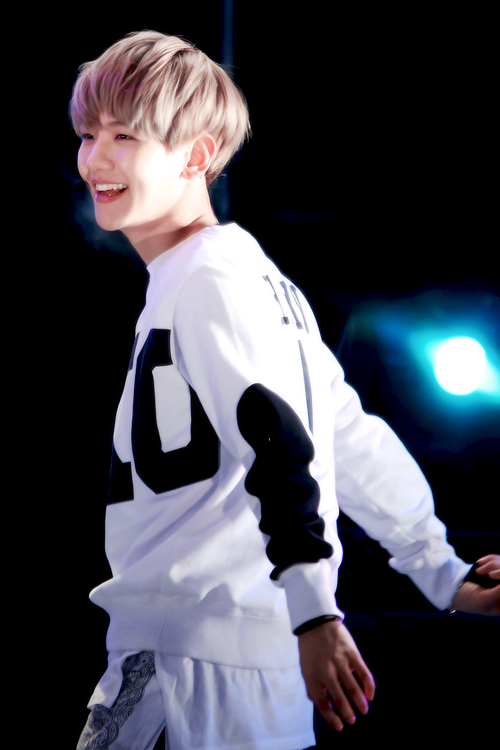 EXO 텀블러짤 털이 : 242 - 인스티즈(instiz) 엑소 카테고리