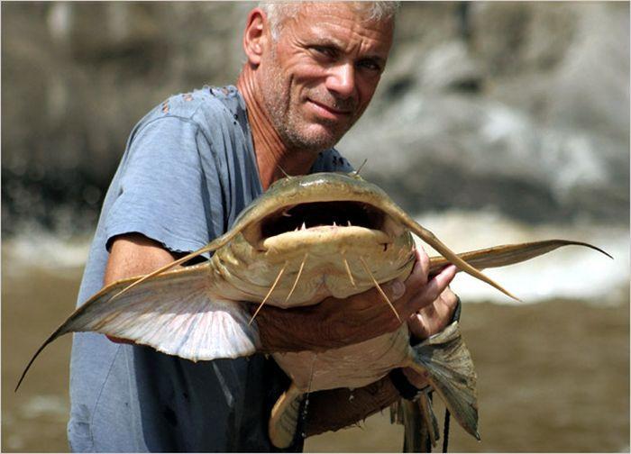 세계의 괴어를 찾아 다니는 영국의 탐험가 제레미 웨이드 - 인스티즈(instiz) 인티포털 카테고리