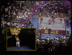 WWF 추억의 태그팀.swf - 인스티즈(instiz) 이슈 카테고리