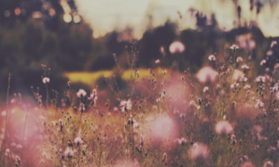 같은 이름, 다른 시들 첫사랑 bgm - 인스티즈(instiz) 이슈 카테고리